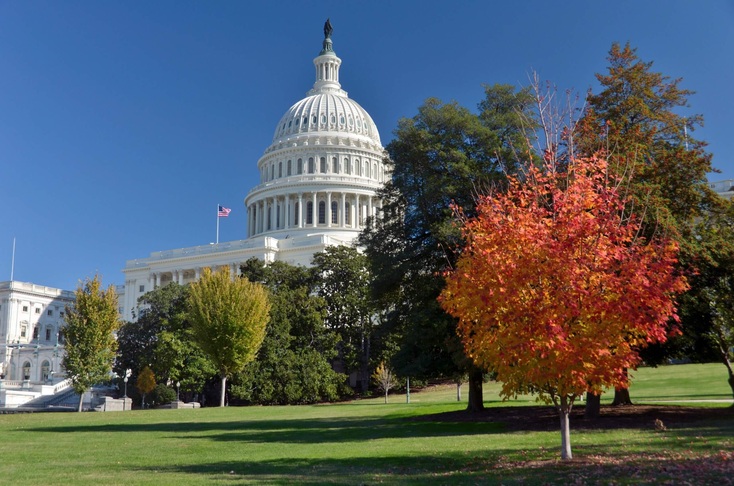 7 Frequently Asked Questions About the Freedom of Information Act (FOIA)